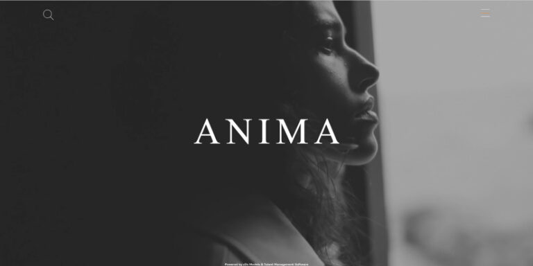 Best Indian Modeling Agencies of 2025 | Dazzlerr